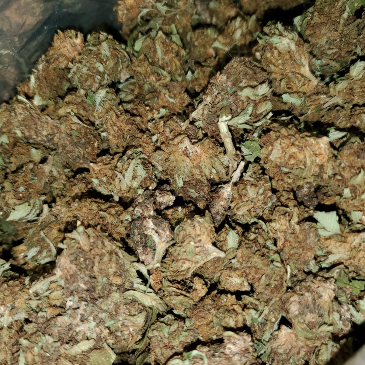 Home - Wholesale CBD Flower Shop - Low Pricing on Bulk Orders